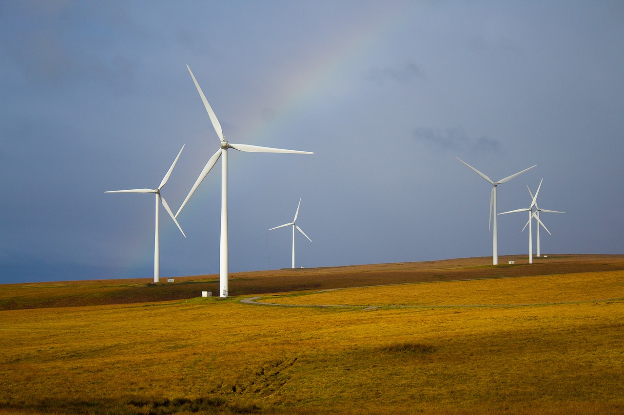 Wind power: advantages and disadvantages