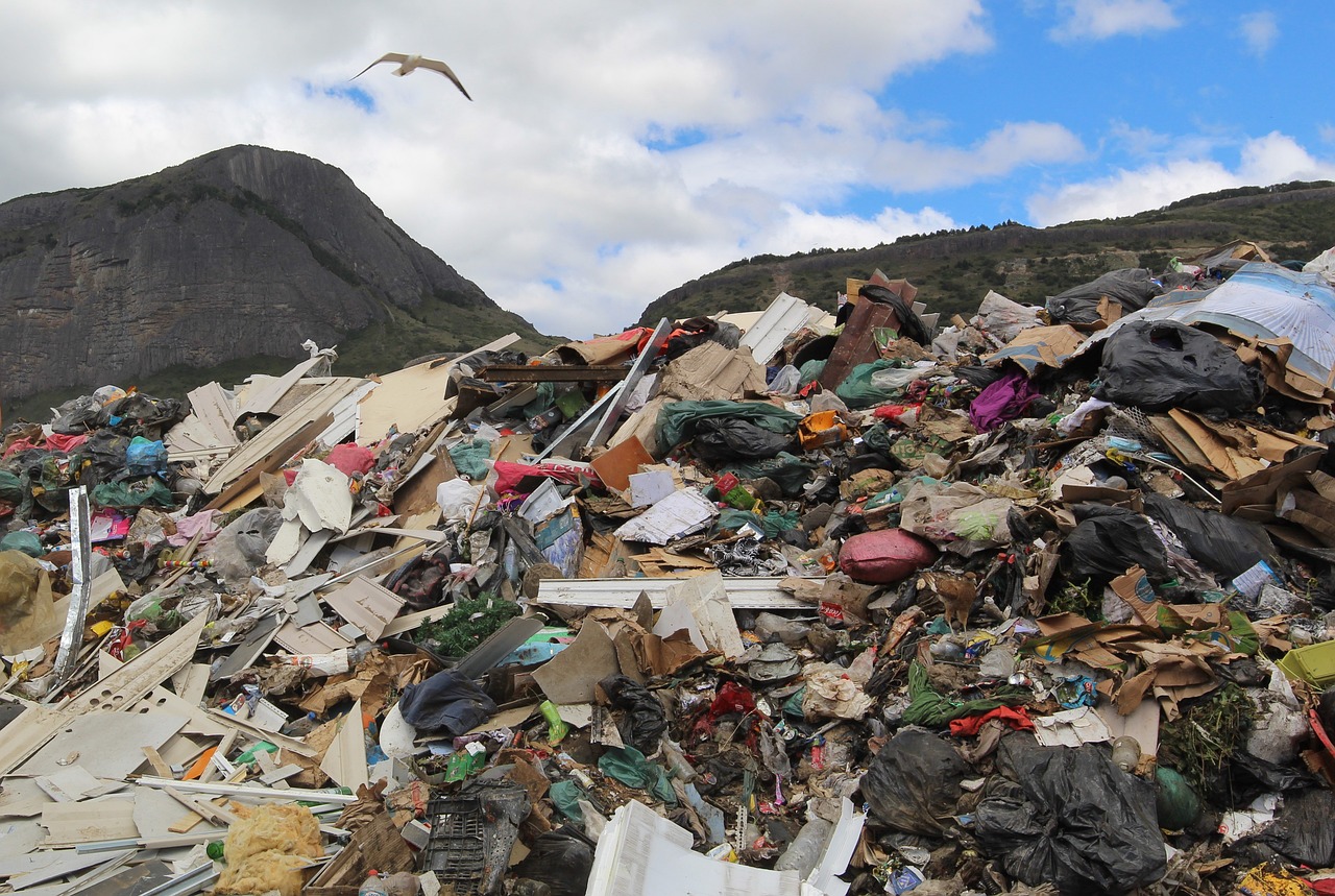 Zero waste movement: what is it and how to apply it