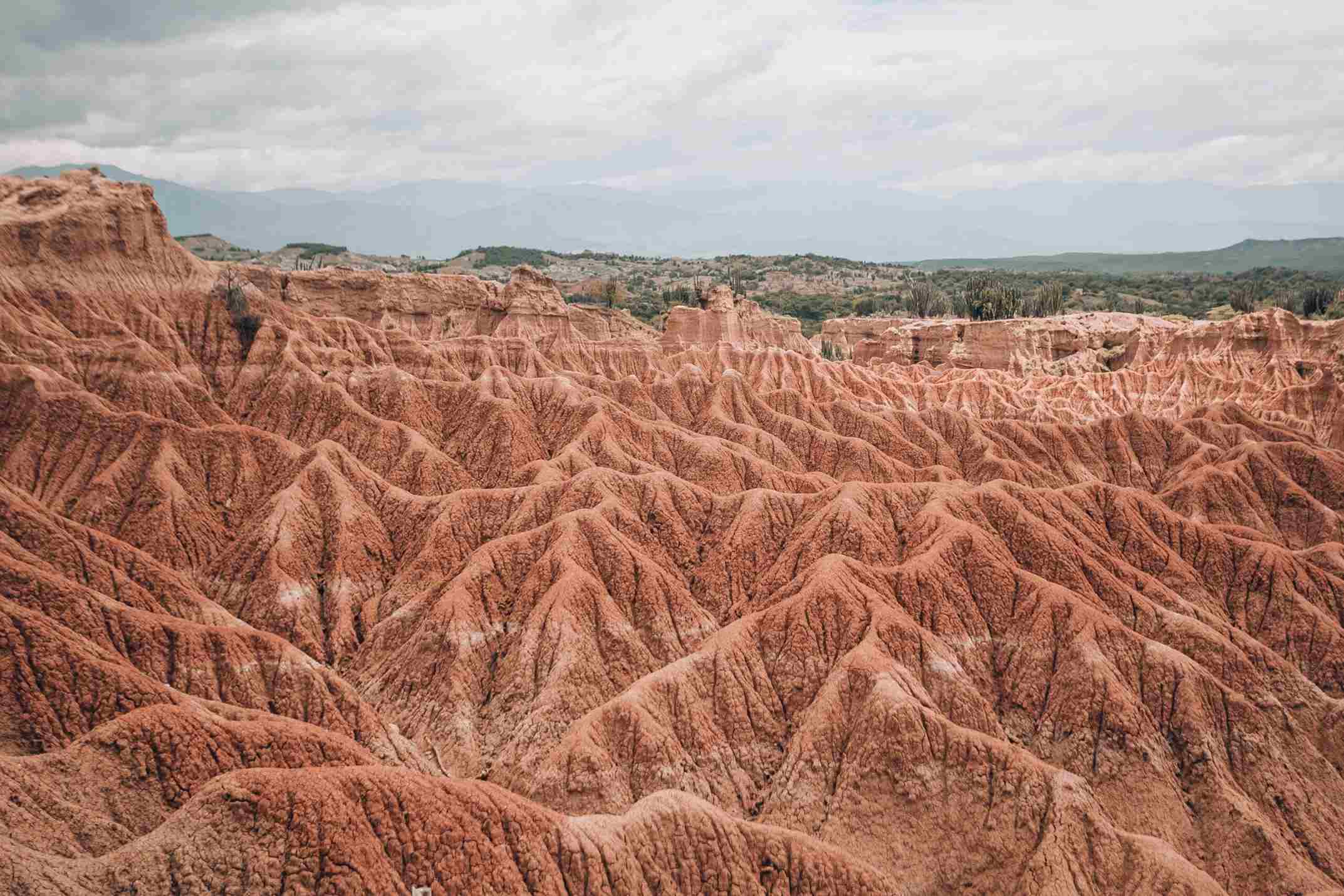 Biodiversity Loss: causes and solutions