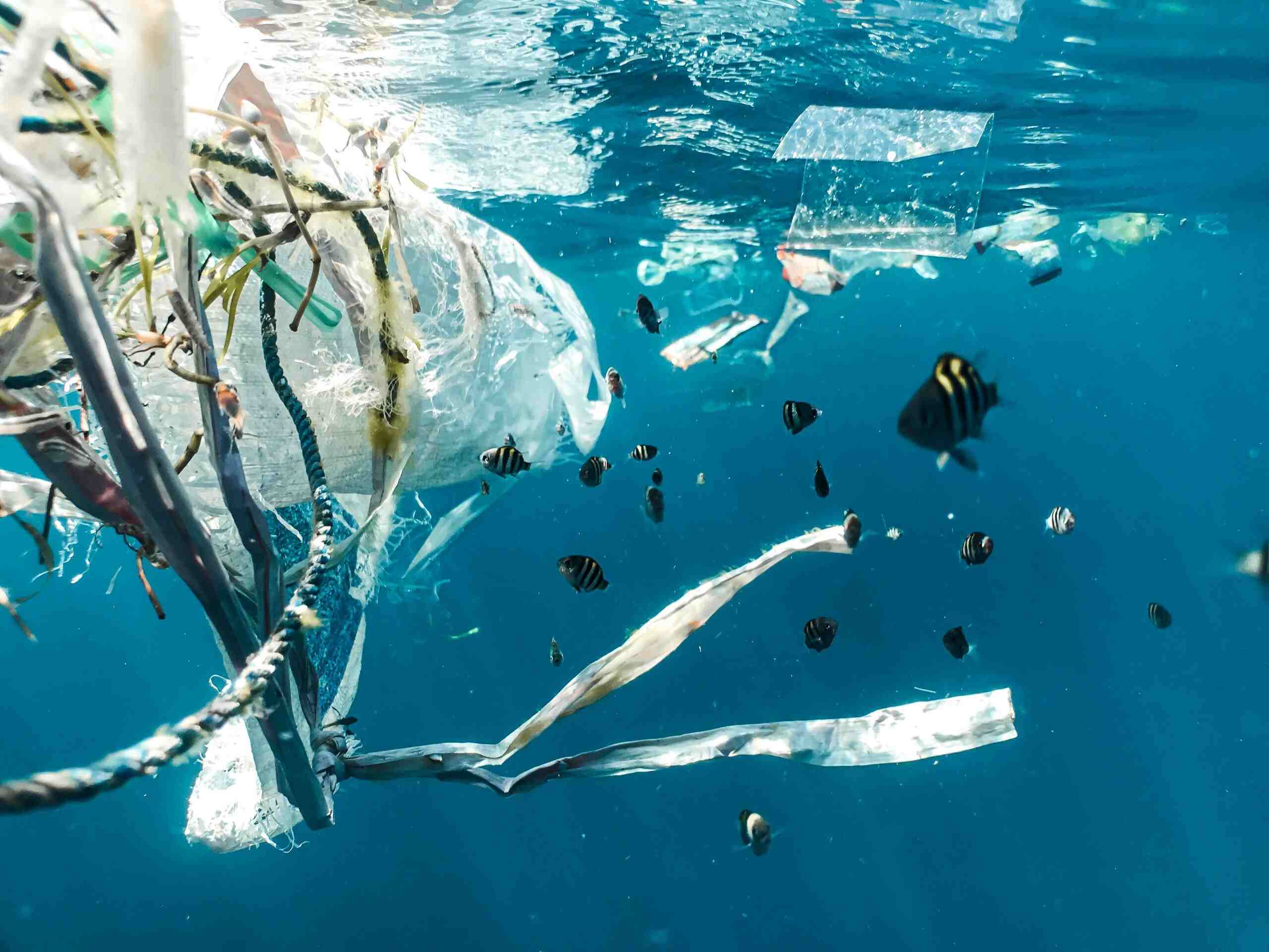Great Pacific Garbage Patch, what is it and the solutions to treat it
