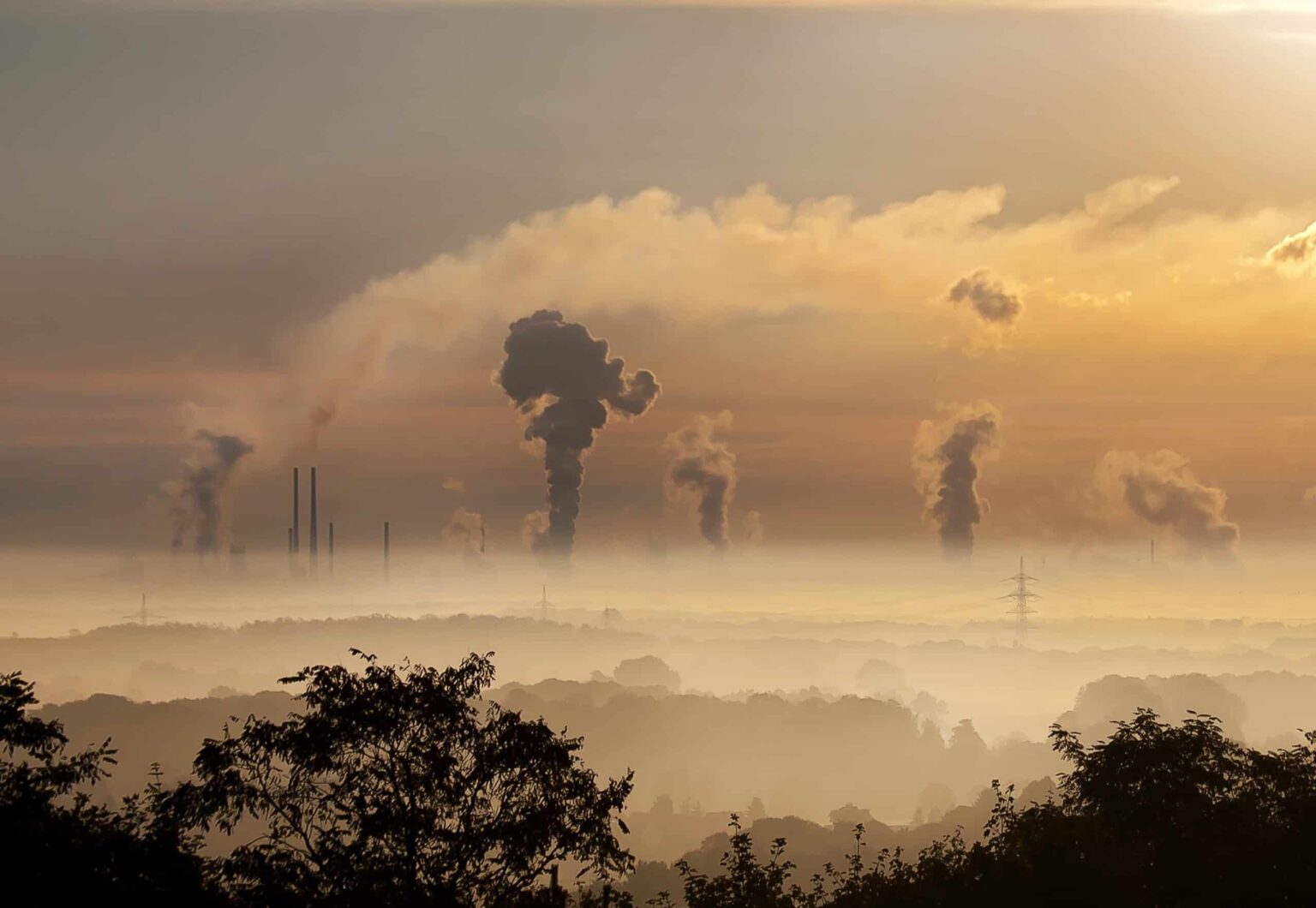 The 5 major carbon emitting industries worldwide