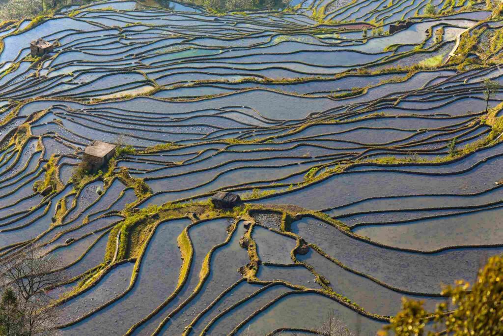 Water consumption rates: which industries use the most?