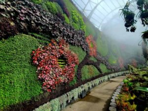 A guide to green walls: how they are made, types and costs