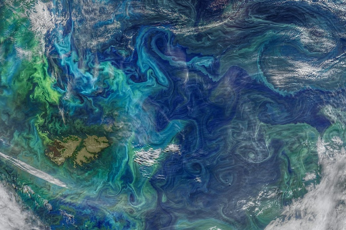 Oceans turn green due to climate change: what are the dangers