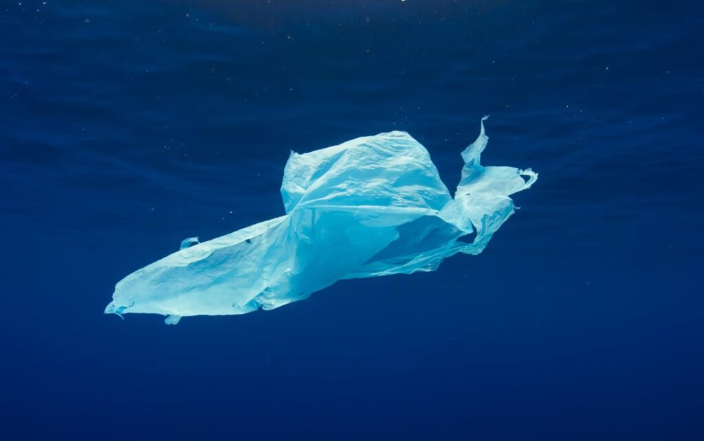 The 8 most dangerous items found in the ocean every day