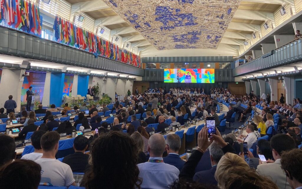 What you need to know about FAO, its roles and purposes