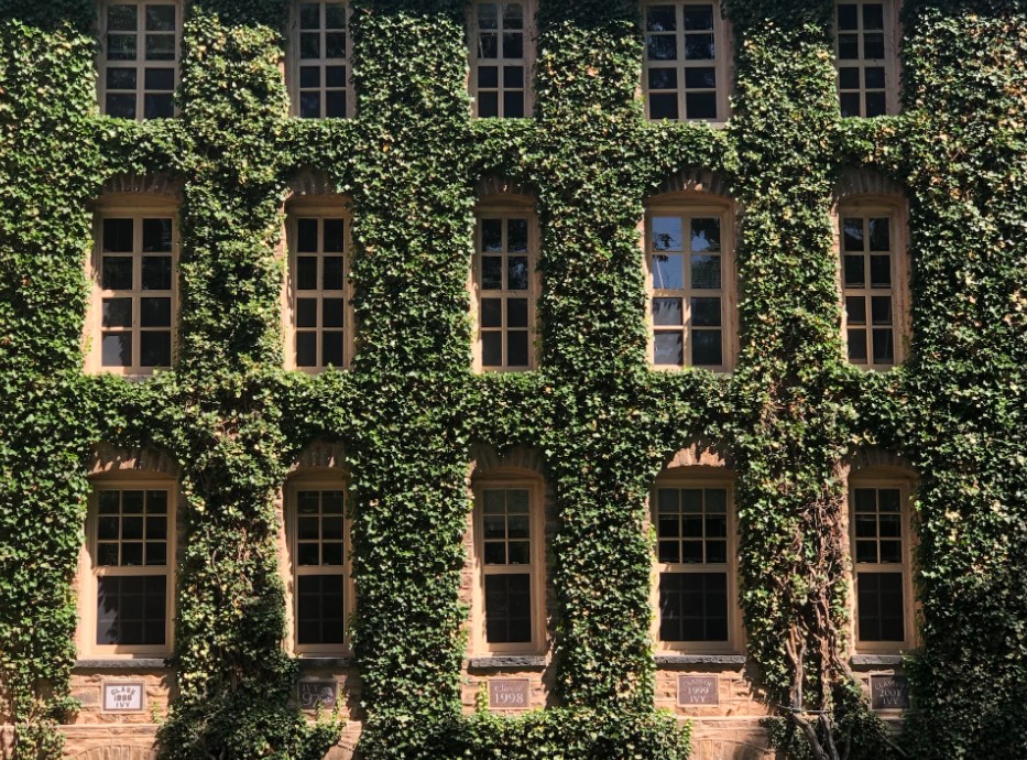 The top 10 greenest universities in the United States