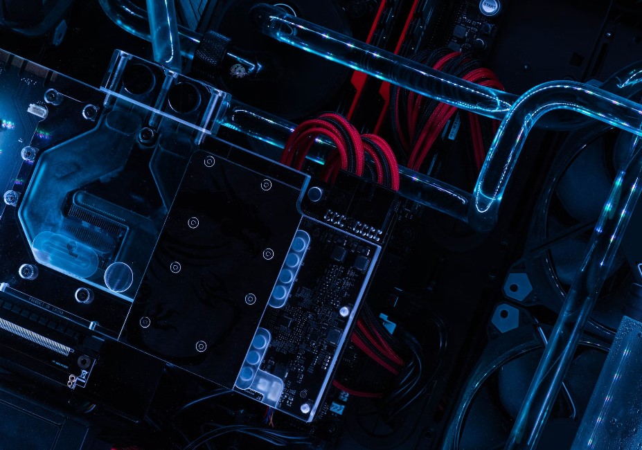 What is a Black Box Model and what are its uses