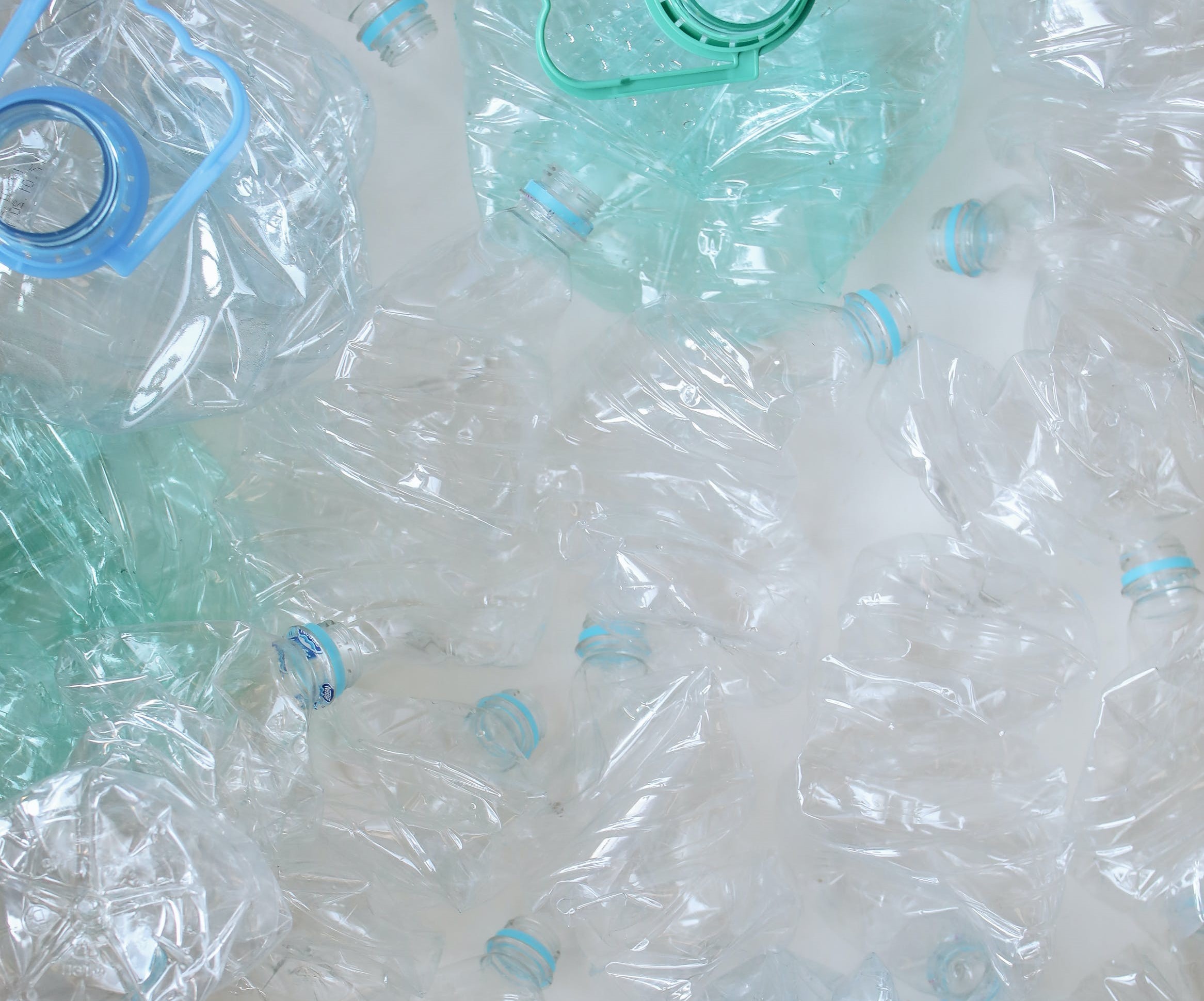 What role for plastic-eating bacteria?