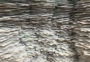 How long does it take for paper and cardboard to decompose