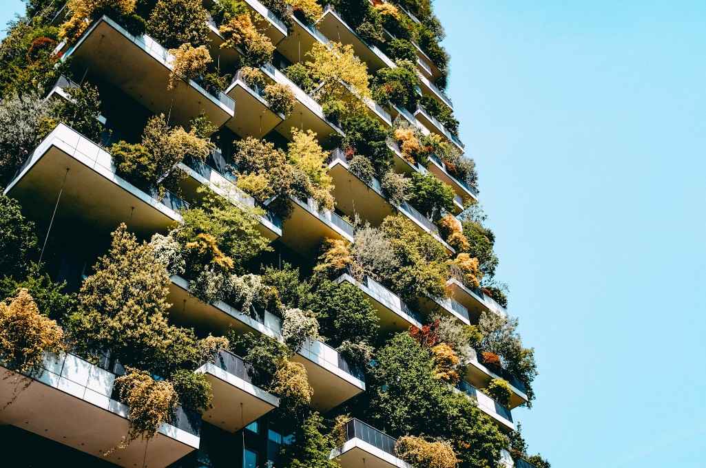 Vertical gardens: the best examples around the world
